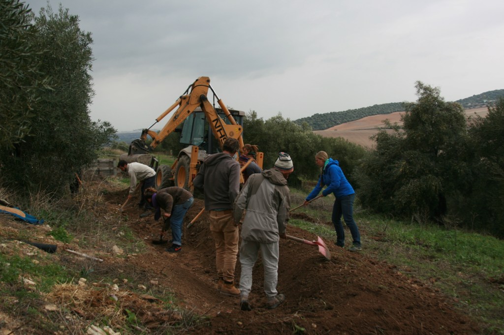 TreeYo EDU – TreeYo Permaculture