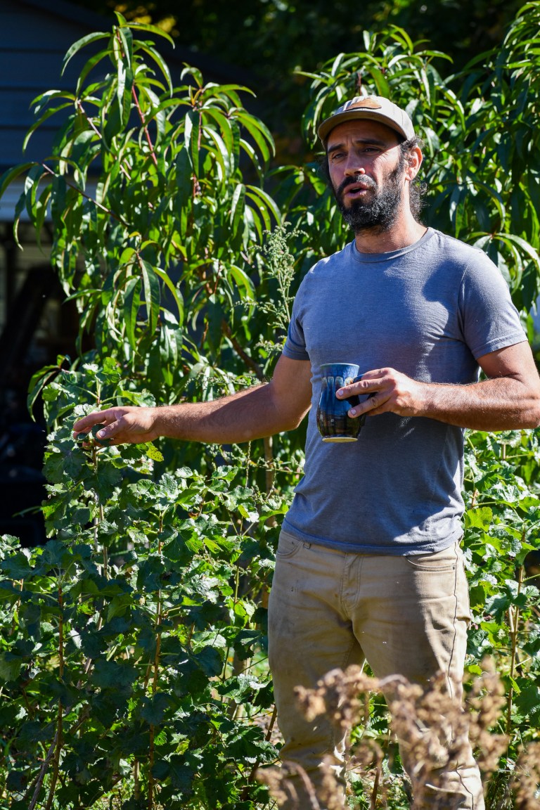 Edible Nursery – TreeYo Permaculture
